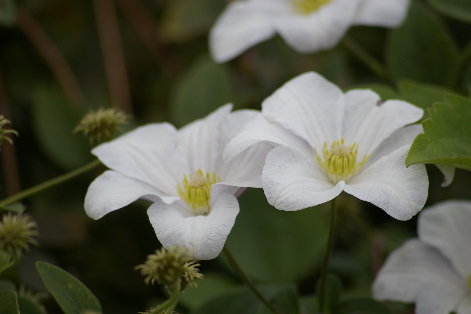 Articles – URSULA MARIA BELL